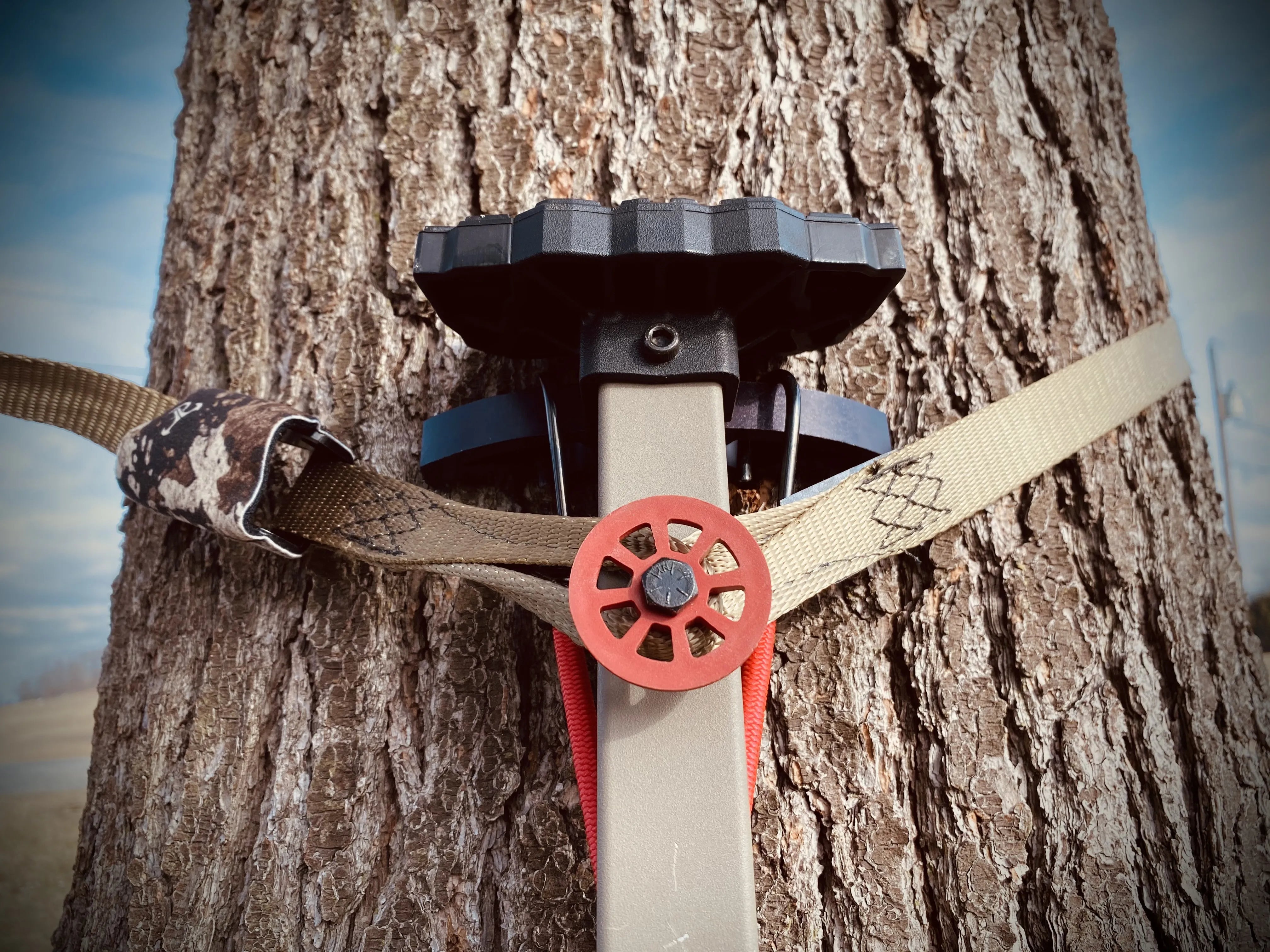 Trophyline Bungee System – Innovating the Outdoors